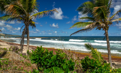 15 Best Beaches in Barbados to Visit in 2024